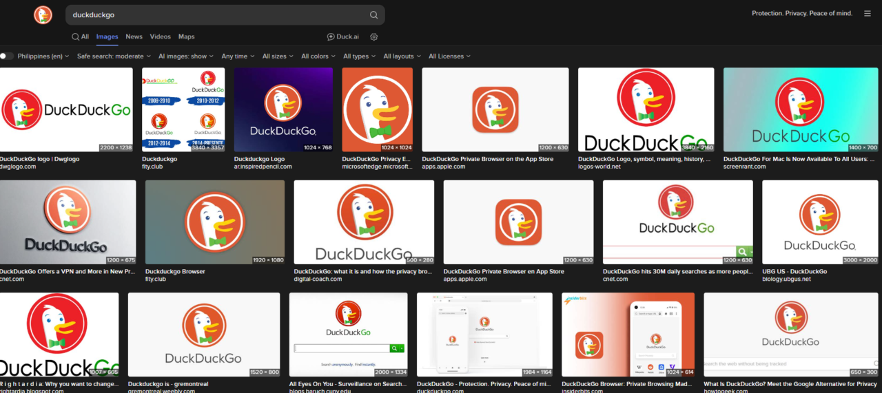 What Is DuckDuckGo and What Happened to It? A Complete Guide - SirLinksalot